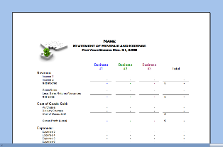 Customize Free Spreadsheets | Basic Accounting Help
